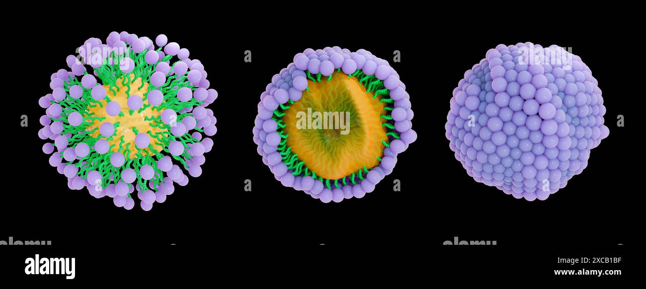 Illustration of soap molecules forming a micelle structure by ...