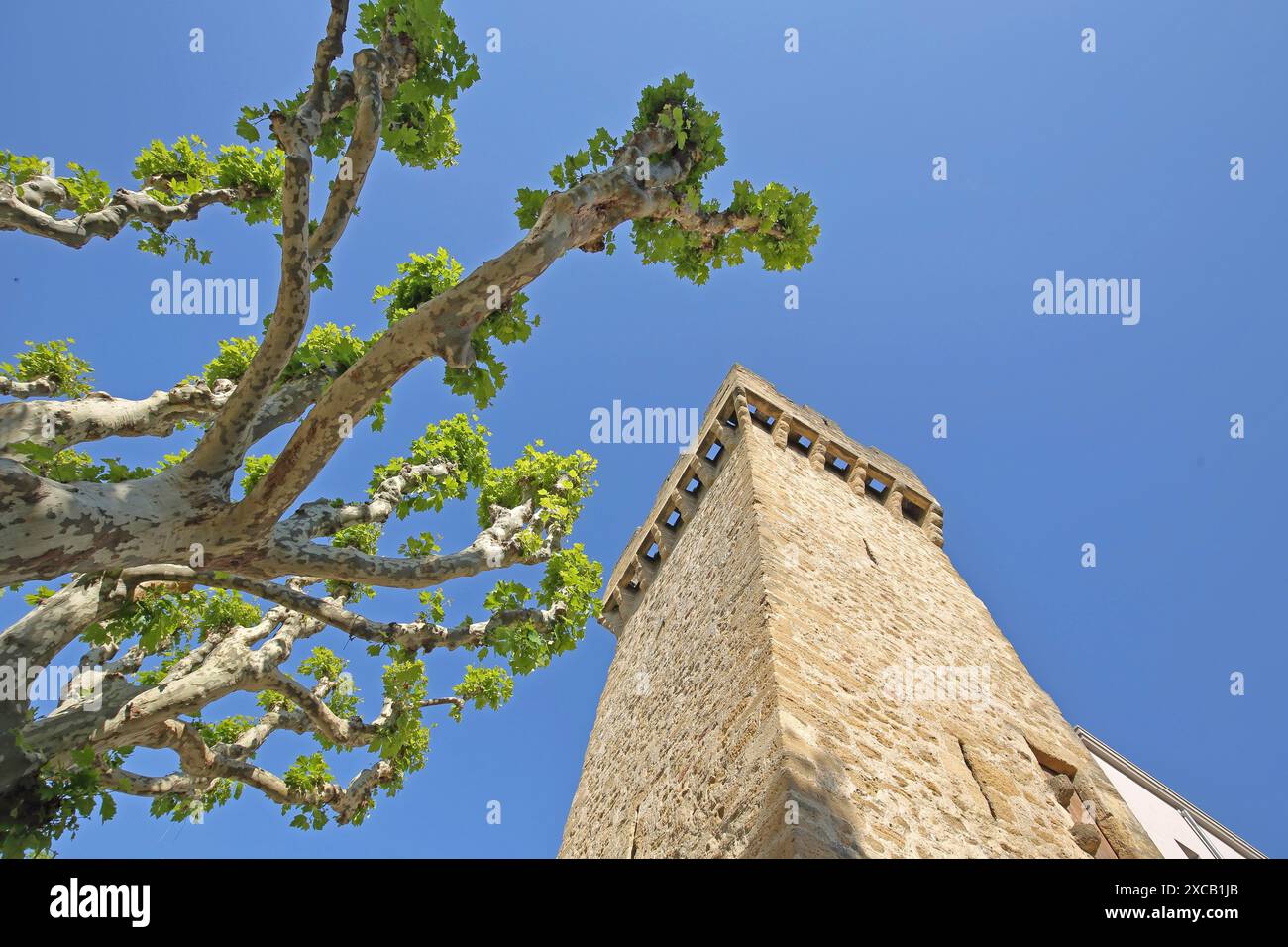 Historic defence defence tower Tour de Tivoli with battlements, plane ...