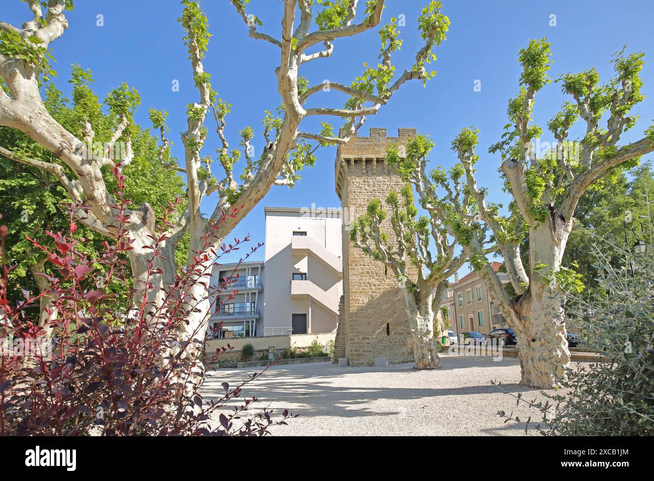 Historic Tour de Tivoli defence defence tower with battlements, plane ...