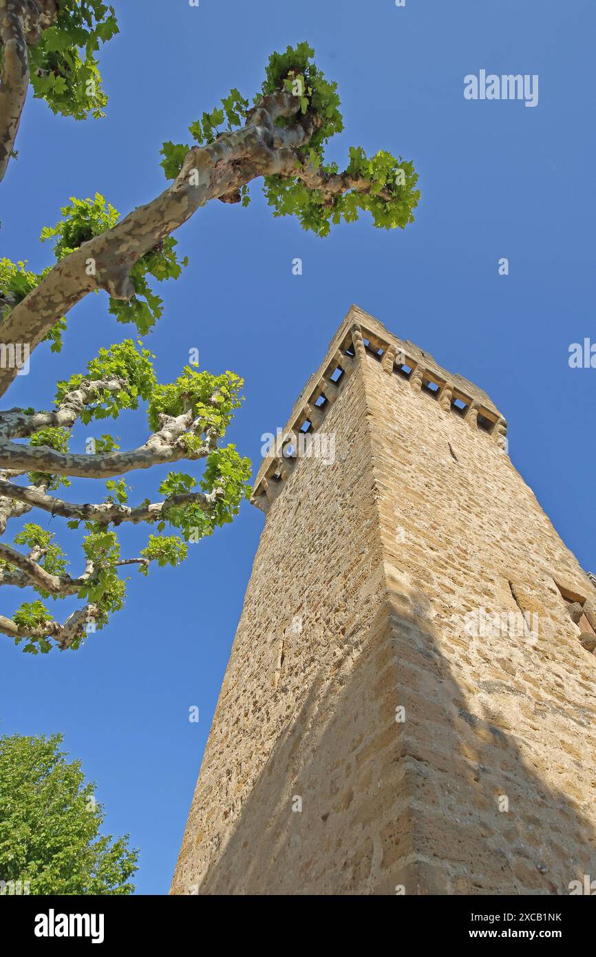 Historic defence defence tower Tour de Tivoli with battlements, plane ...