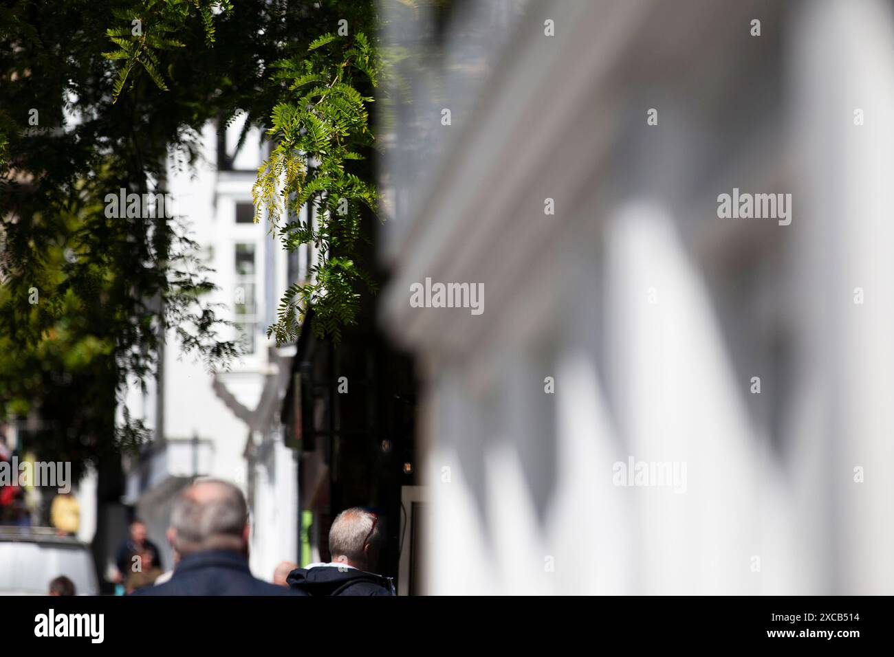 Foliage anonymous hi-res stock photography and images - Alamy