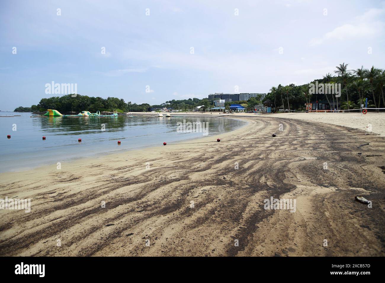 A general view of oil spill along Sentosa's Palawan Beach area in ...