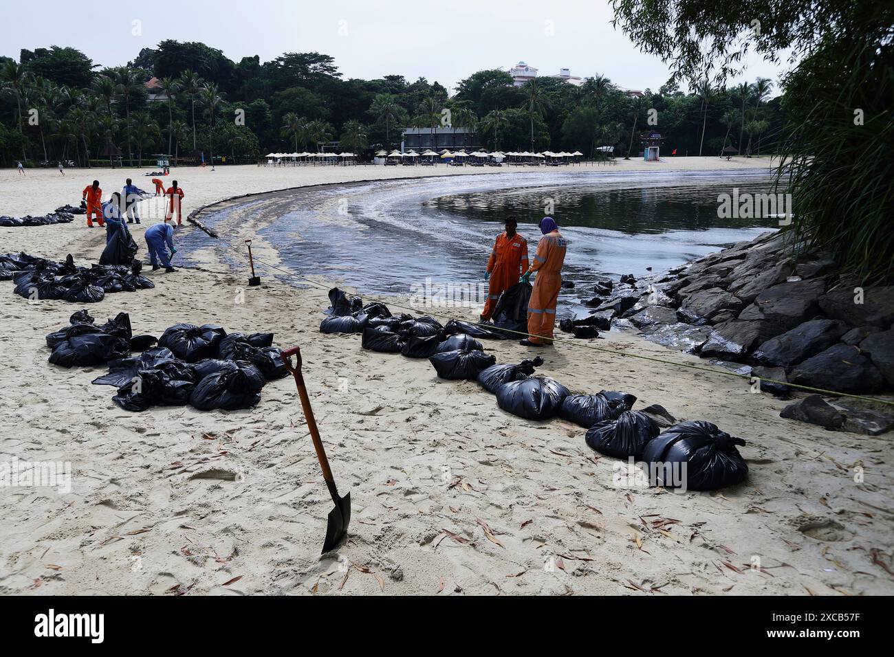 Workers clean oil spill along Sentosa's Tanjong Beach area in Singapore ...