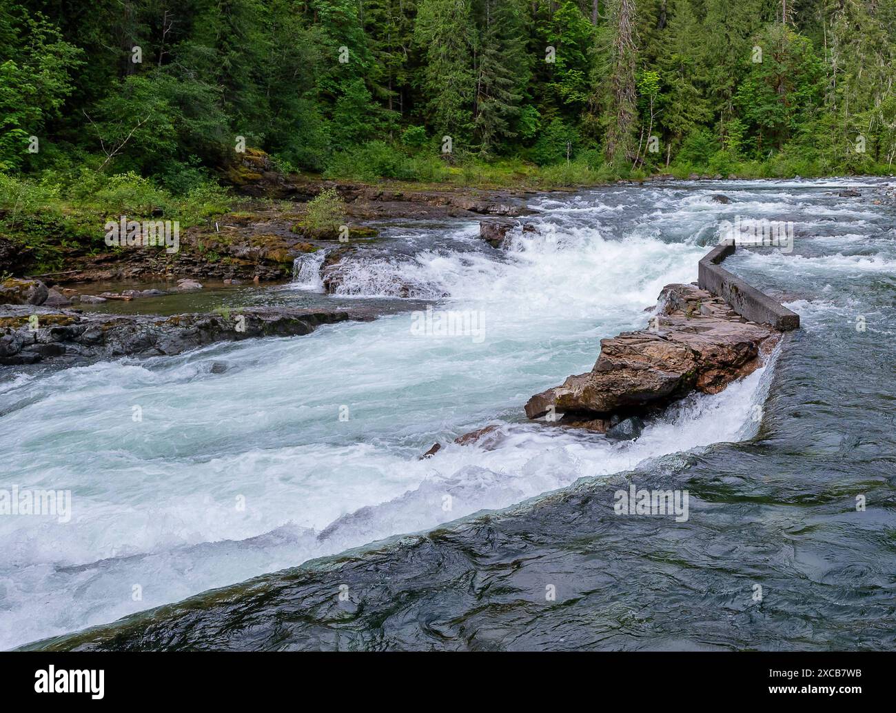 Port Alberni CAN, Kanada / Canada, Urlaubseindruecke und ...