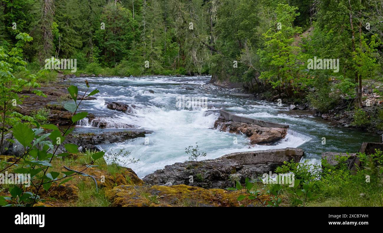 Port Alberni CAN, Kanada / Canada, Urlaubseindruecke und ...