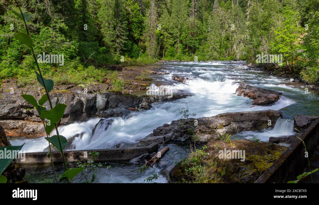 Port Alberni CAN, Kanada / Canada, Urlaubseindruecke und ...