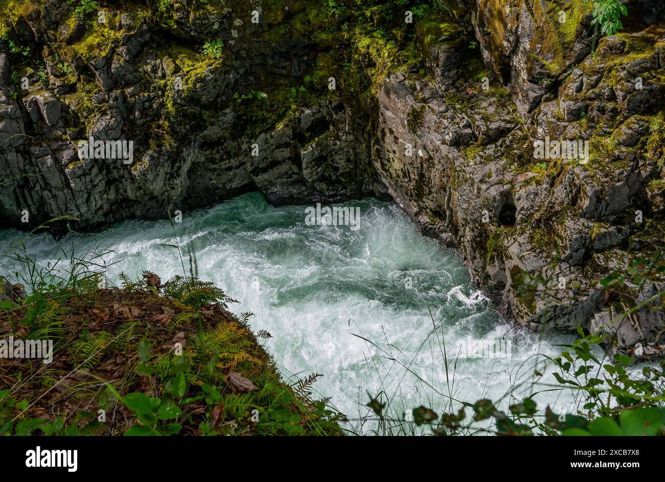 Port Alberni CAN, Kanada / Canada, Urlaubseindruecke und ...