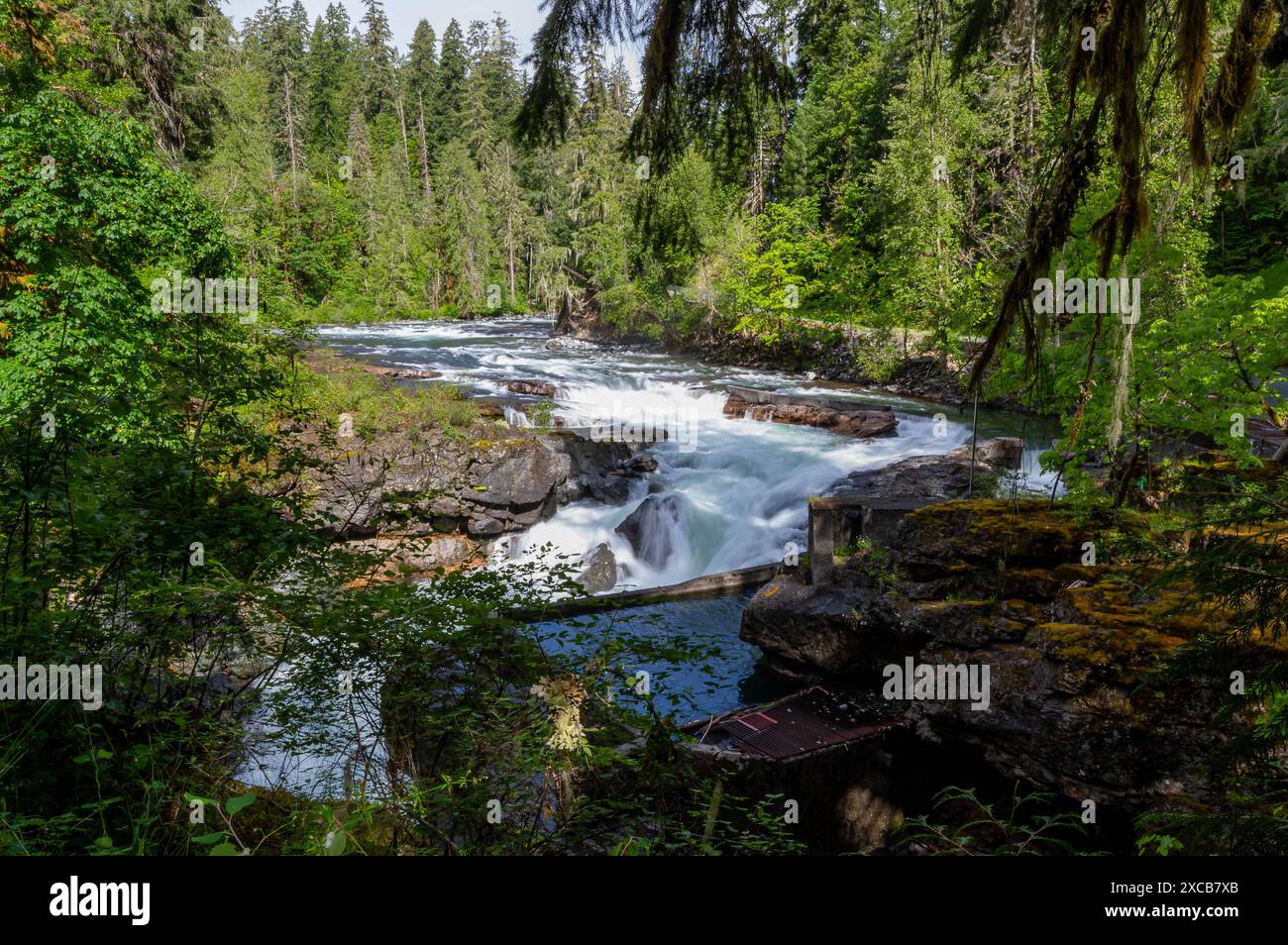 Stamp falls hi-res stock photography and images - Alamy