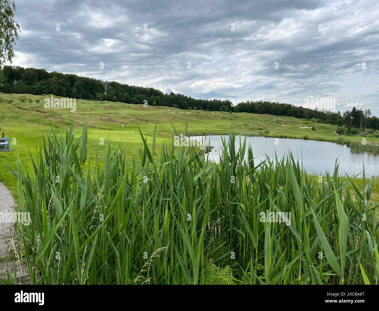 Biotope sind Naturschutzgebiete mit Wasser und vielen Pflanzen und ...