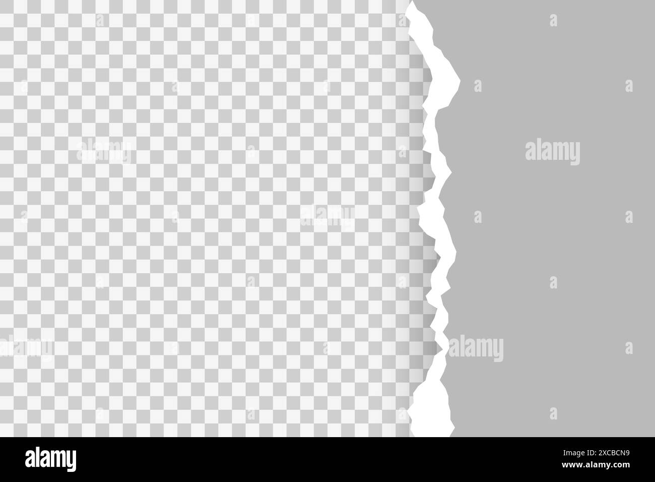 Torn Sheet on transparent background. Gray ripped paper. Vector ...