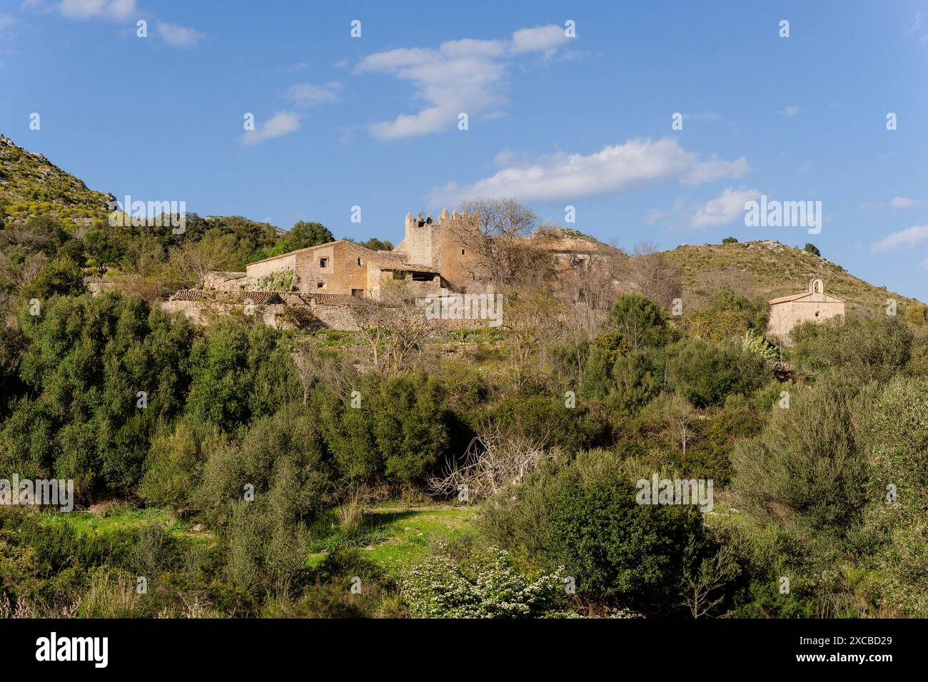 Natural Park of the Llevant Peninsula, Arta, Mallorca, Spain Stock ...