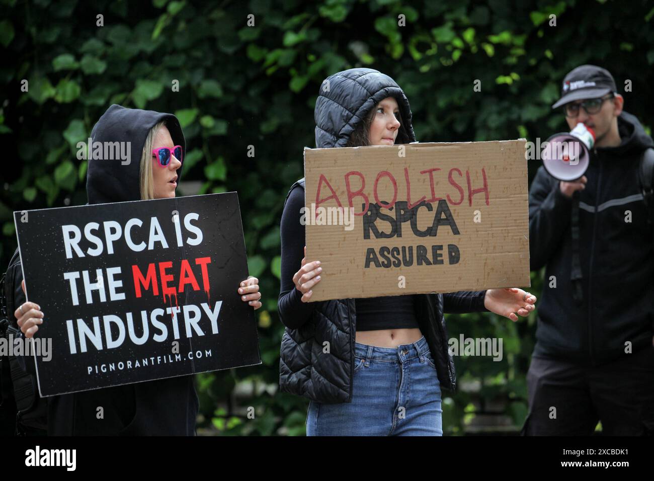 Horsham, UK. 15th June 2024. Protesters hold up placards criticising ...