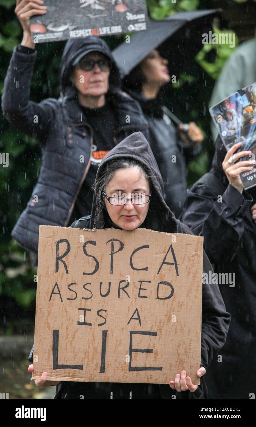 Horsham, UK. 15th June 2024. A protester holds up a placard saying ...