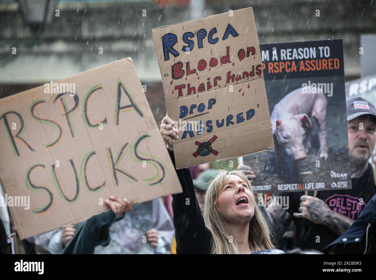 Horsham, UK. 15th June 2024. Protesters hold up placards criticising ...
