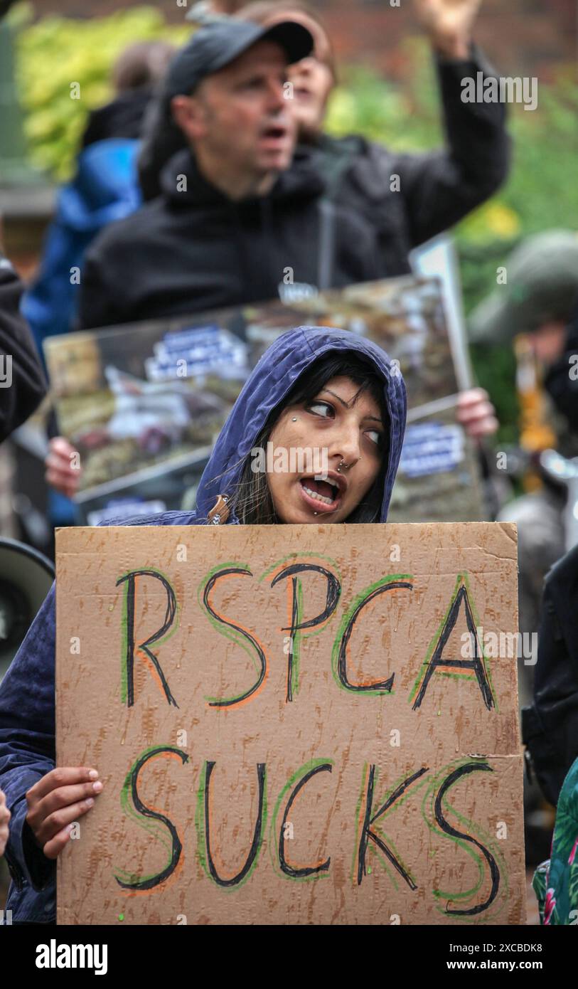 Horsham, UK. 15th June 2024. A protester holds up a placard saying ...