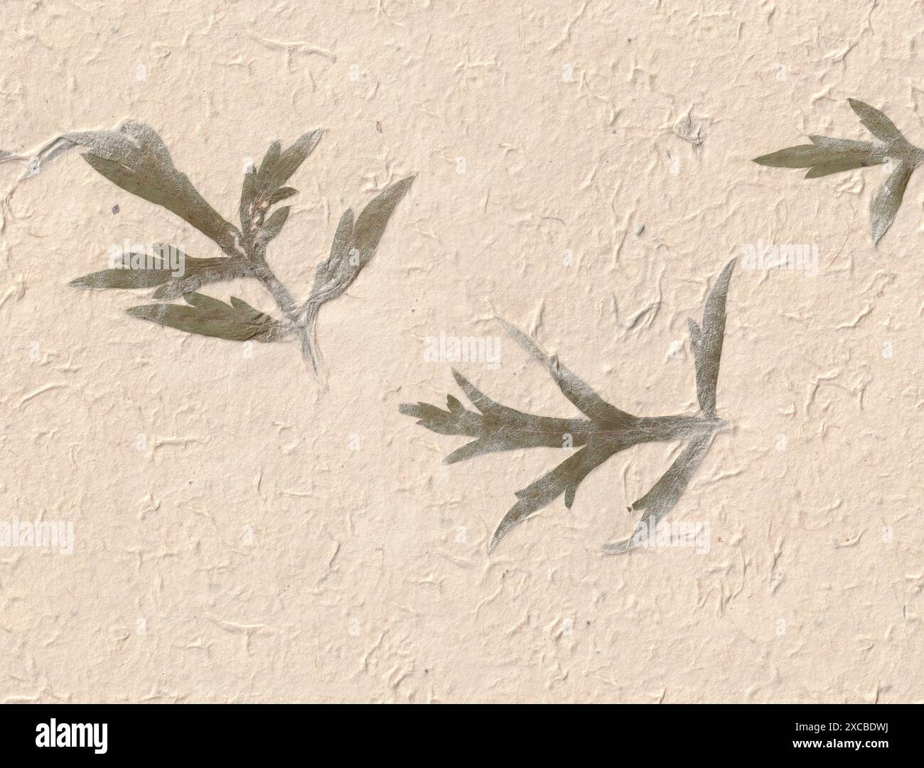 Himalayan leafy ones paper texture. Seamless handmade leaves craft ...