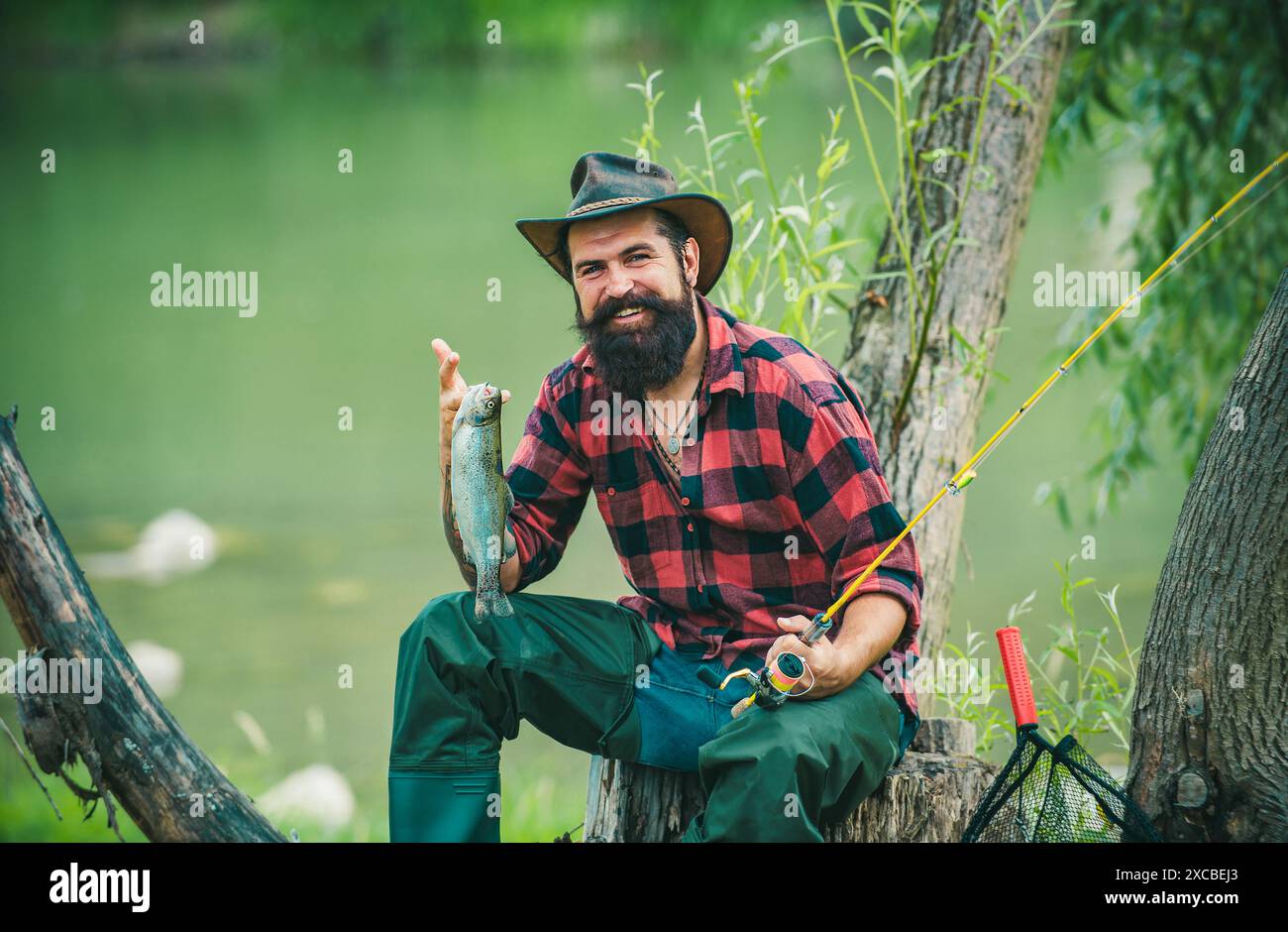 Brown trout being caught in fishing net. Steelhead rainbow trout. Bass ...