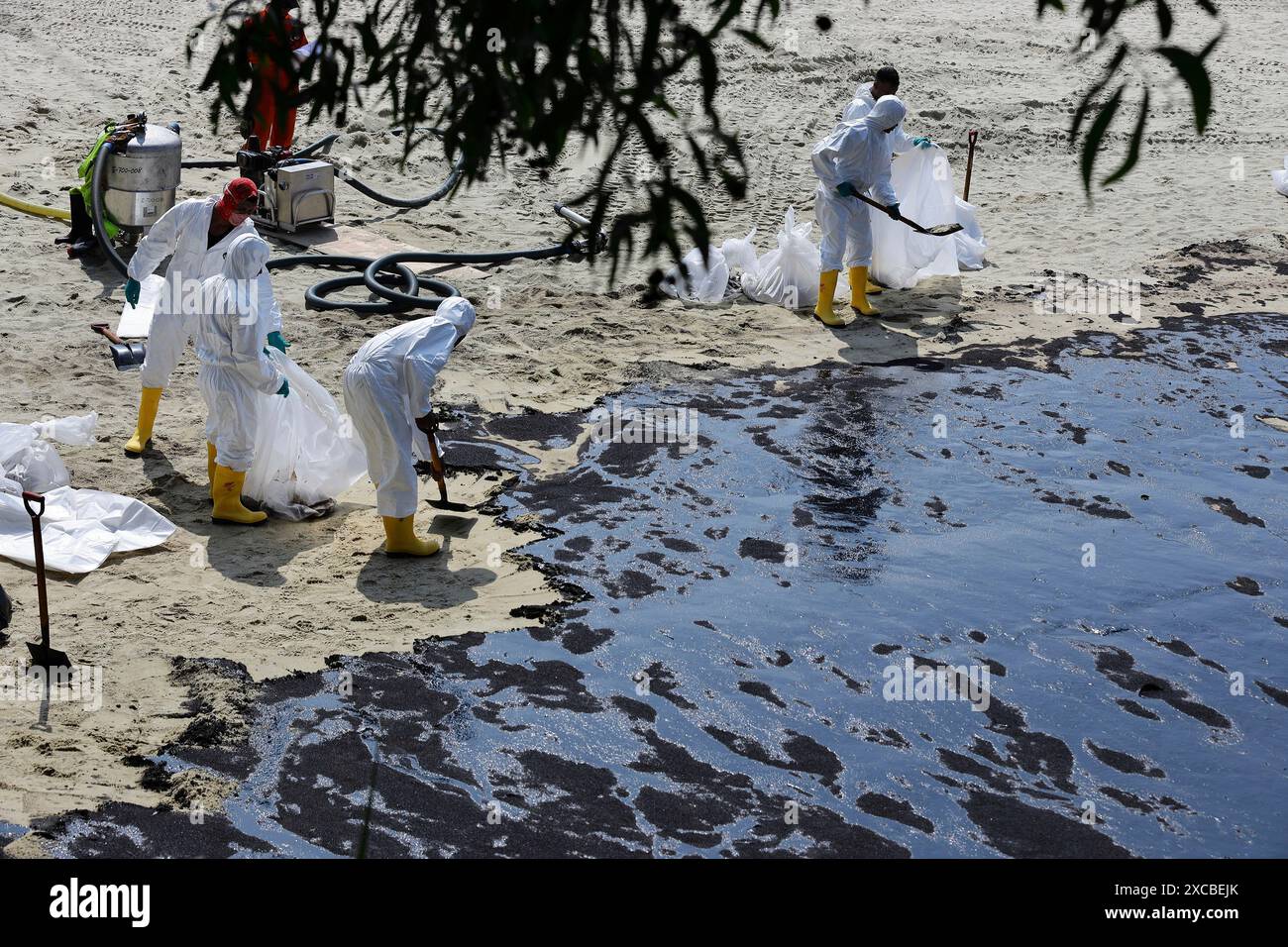 Workers clean oil spill along Sentosa's Tanjong Beach area in Singapore ...