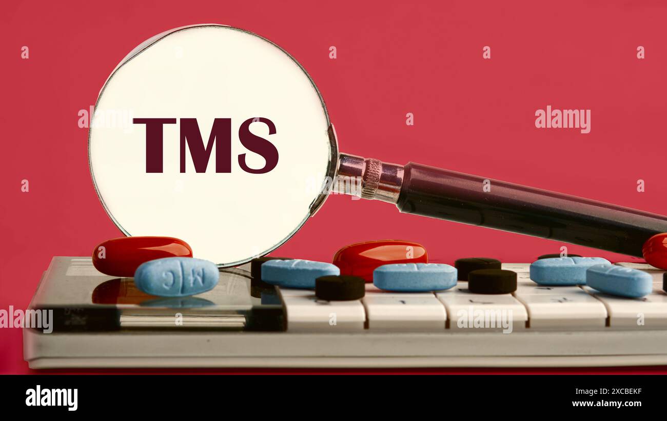 TMS transportation management system. Planning and coordination of ...