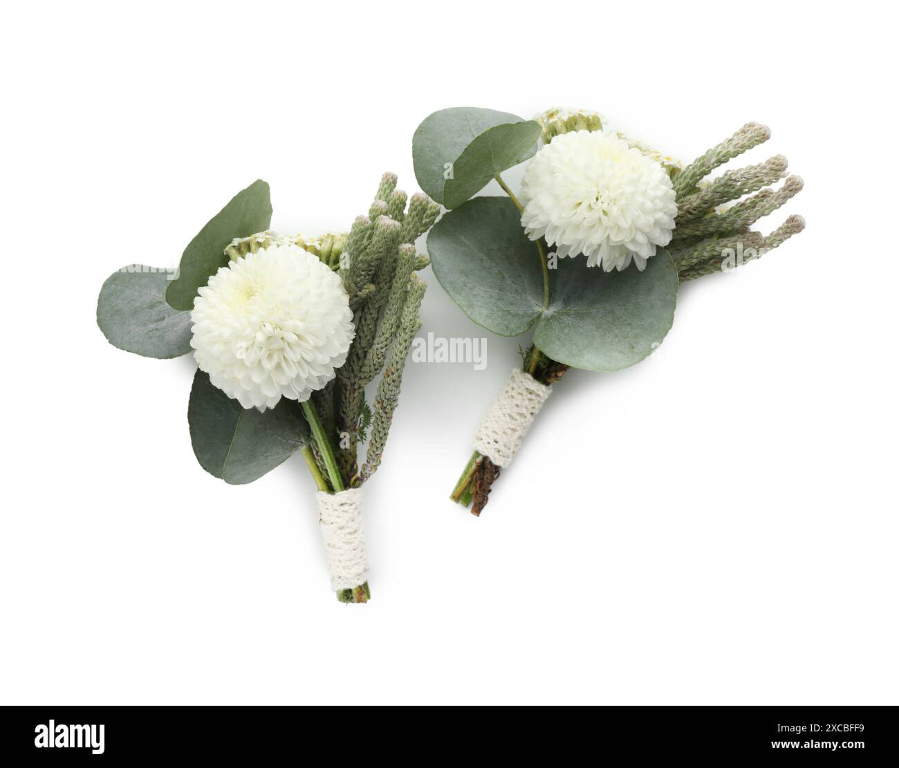 Top view two flower Cut Out Stock Images & Pictures - Alamy