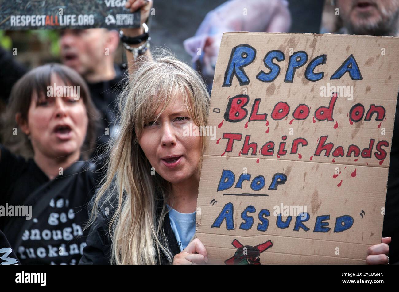 A protester holds up a placard saying "RSPCA Blood on Their Hands ...