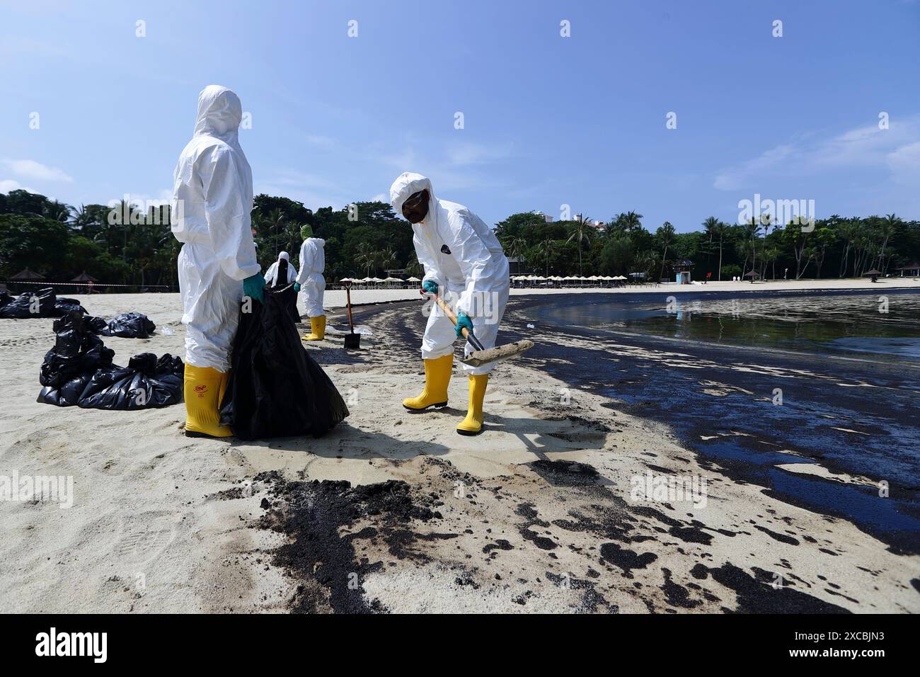 Workers clean oil spill along Sentosa's Tanjong Beach area in Singapore ...