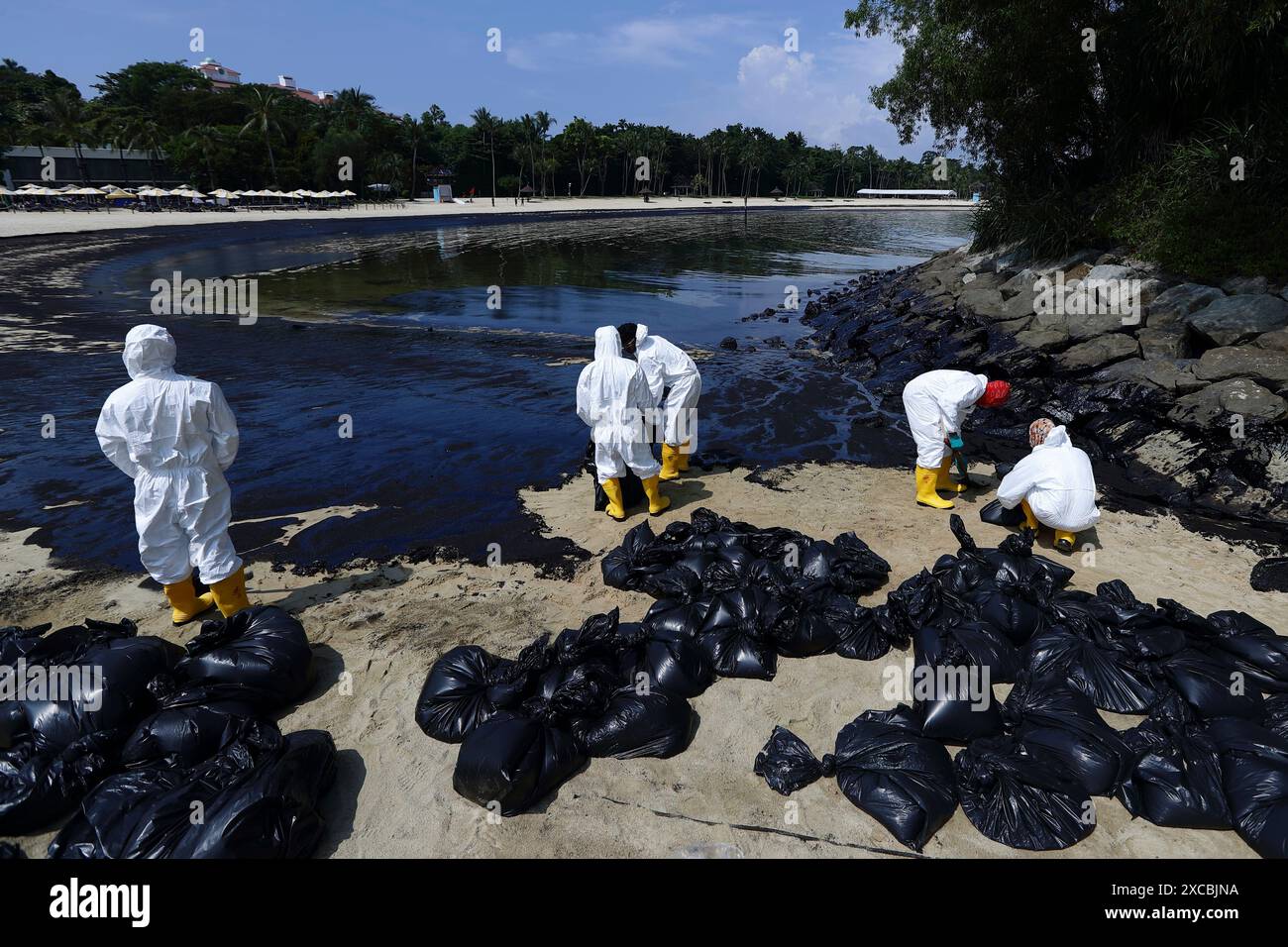Workers clean oil spill along Sentosa's Tanjong Beach area in Singapore ...
