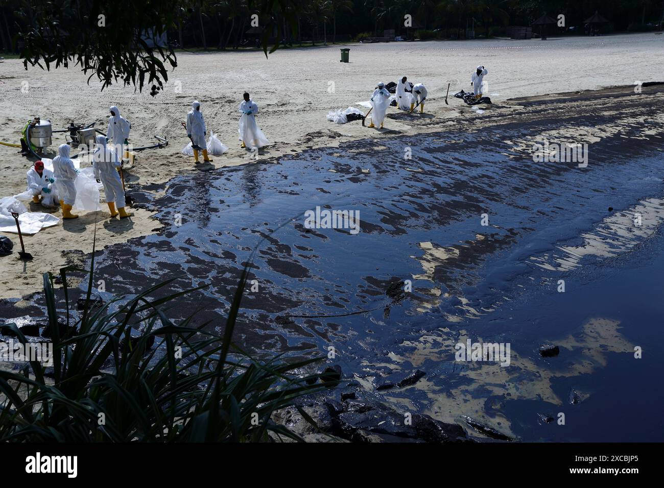 Workers clean oil spill along Sentosa's Tanjong Beach area in Singapore ...