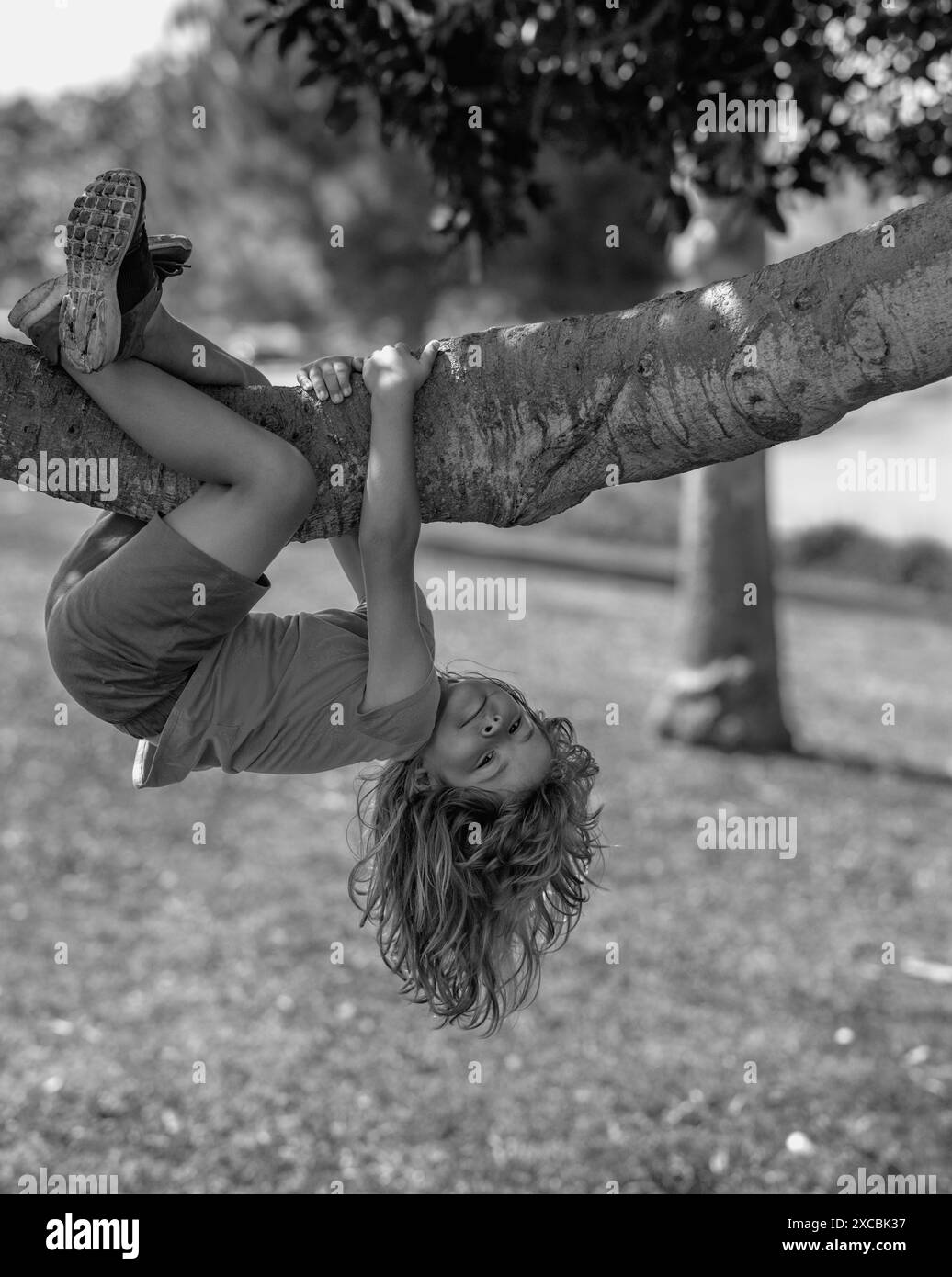 Kid climbing on a tree branch outdoor Stock Photo - Alamy