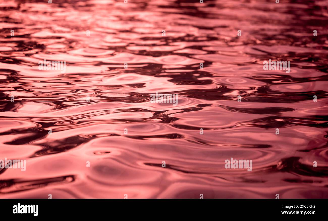 A image of violet ocean waves featuring a water surface in detail Stock ...