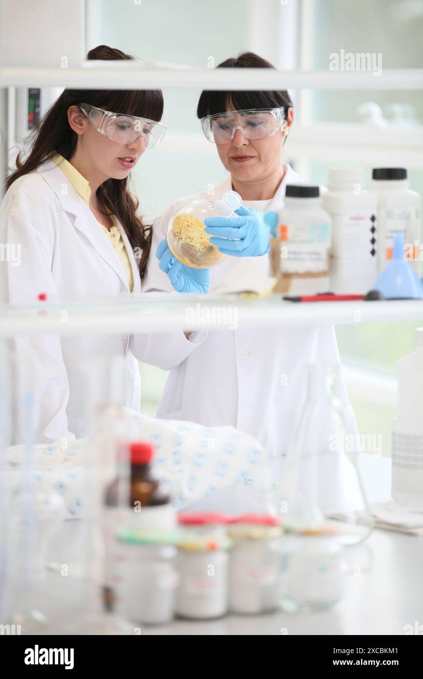 Shinthesis Lab, Research Laboratory, R&D+i, Design and synthesis of new ...