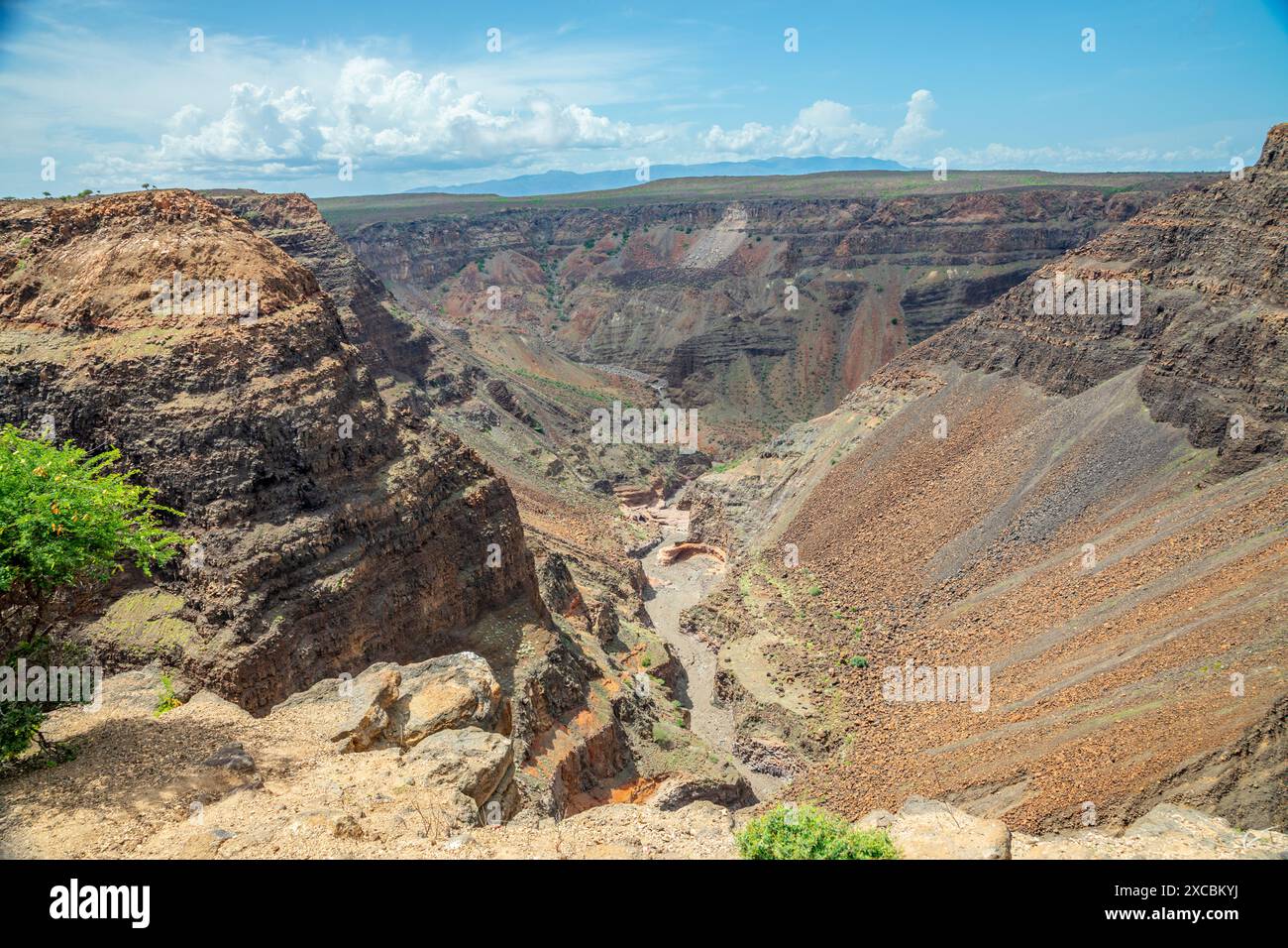 Earth crack canyon at Afar triangle panorama, Tajourah Djibouti Stock ...
