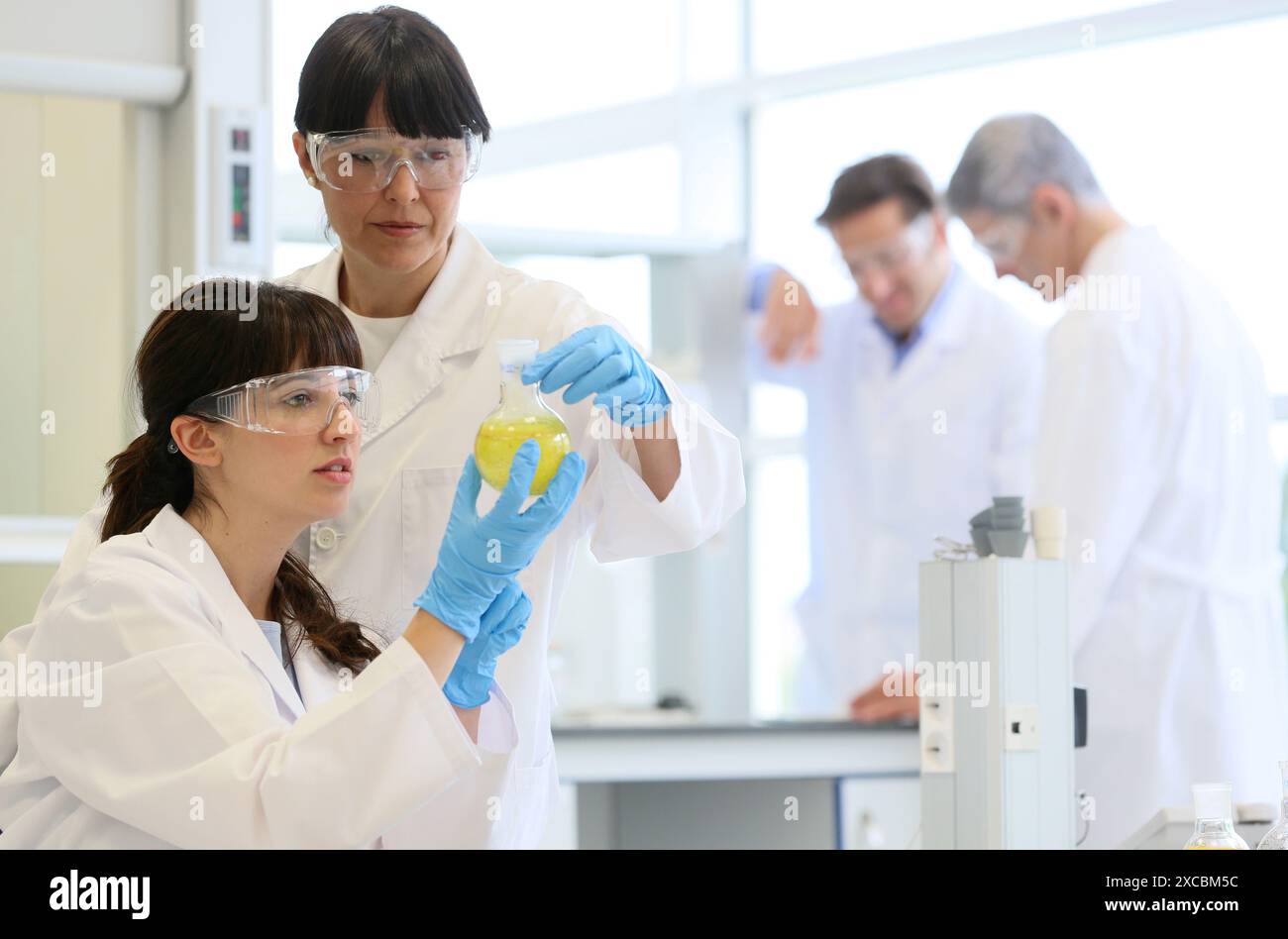 Shinthesis Lab, Research Laboratory, R&D+i, Design and synthesis of new ...