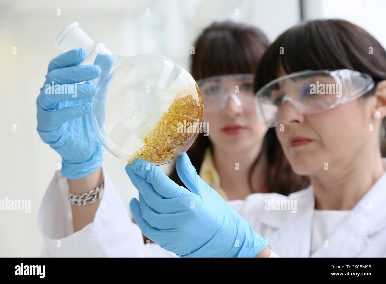 Shinthesis Lab, Research Laboratory, R&D+i, Design and synthesis of new ...