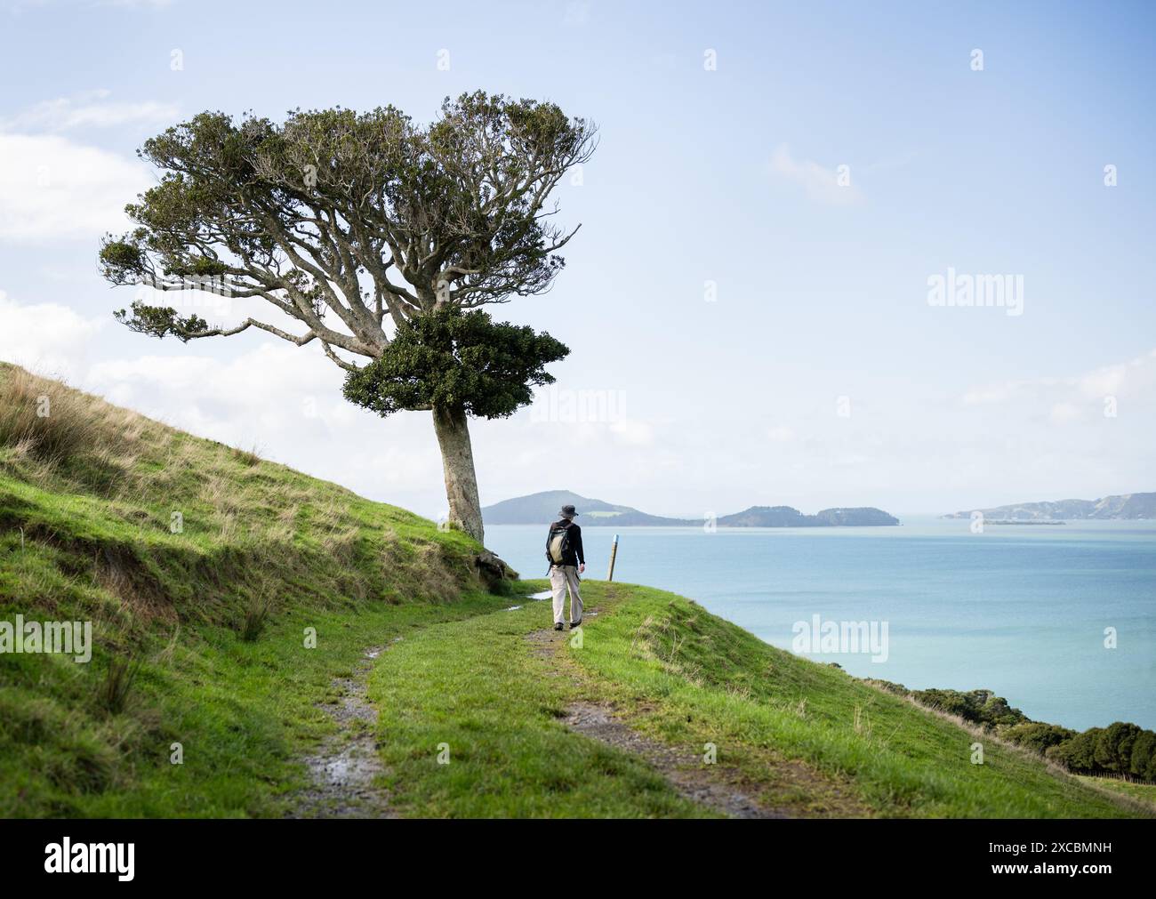 Man walking on the coastal walkway in Duder Regional Park. Auckland ...