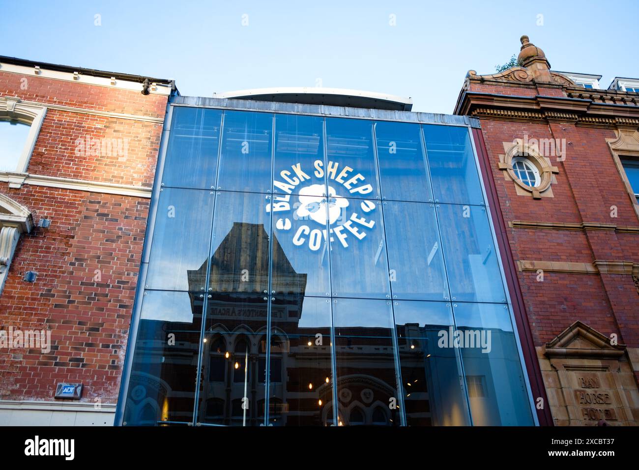 Black sheep coffee leeds hi-res stock photography and images - Alamy