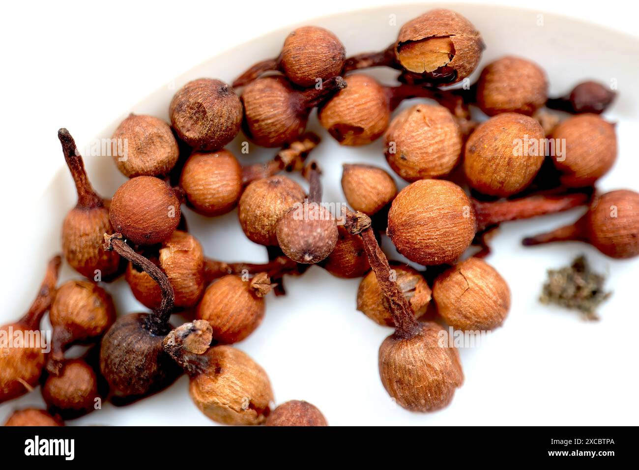 top view of Nagakesar seeds on a white background Stock Photo - Alamy