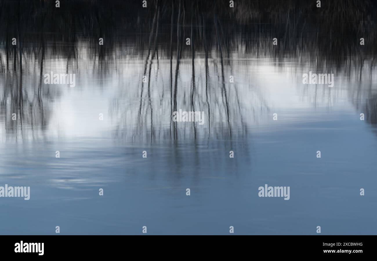 Tree reflection in flowing water, abstract landscape Stock Photo - Alamy