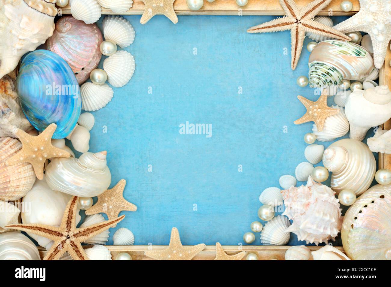 Seashell and pearl decorations abstract background border with gold ...