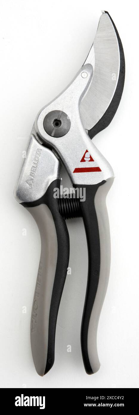 Pruning shears to prune trees and shrubs Stock Photo - Alamy