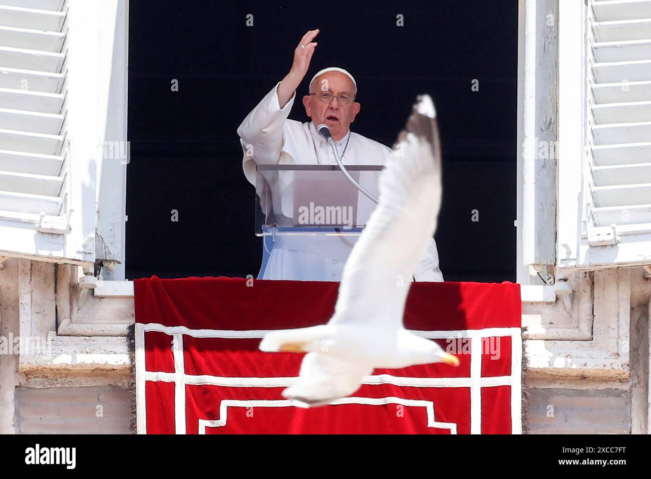 A gull flies as Pope Francis delivers his blessing to the faithful ...