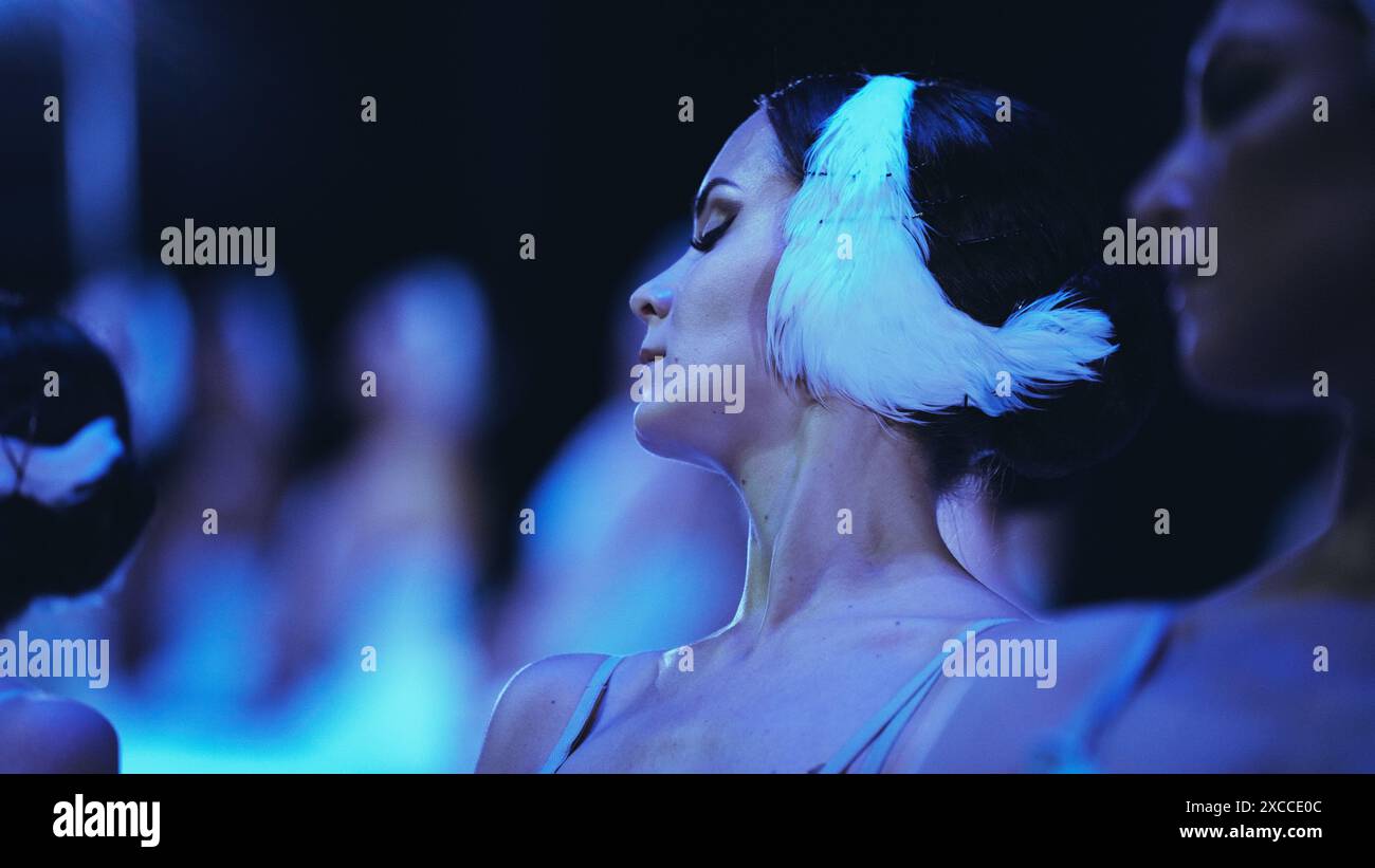 Swan motif hi-res stock photography and images - Alamy