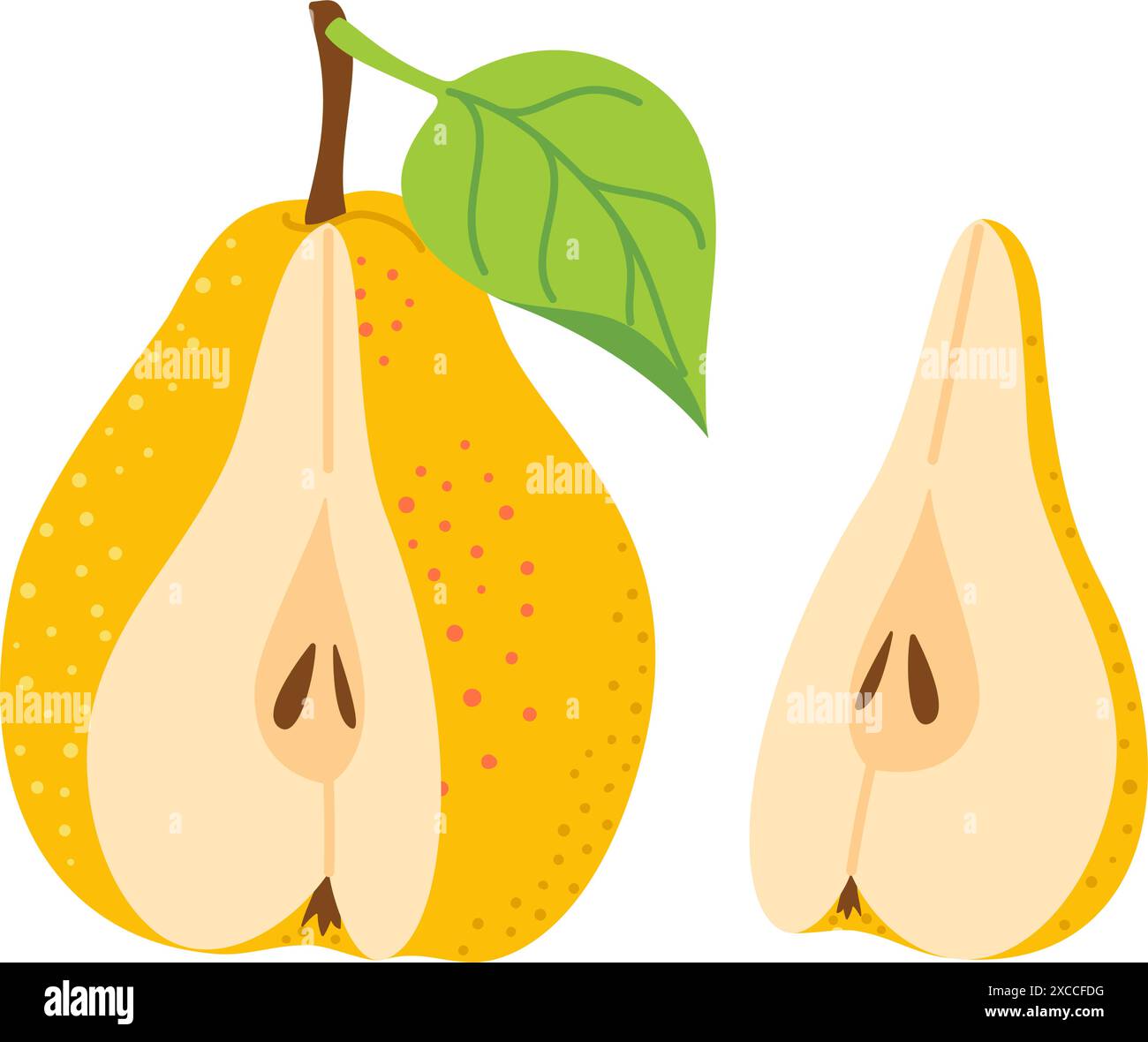 Cut yellow pear with pear wedge cartoon set. Cross section of cut fresh ...
