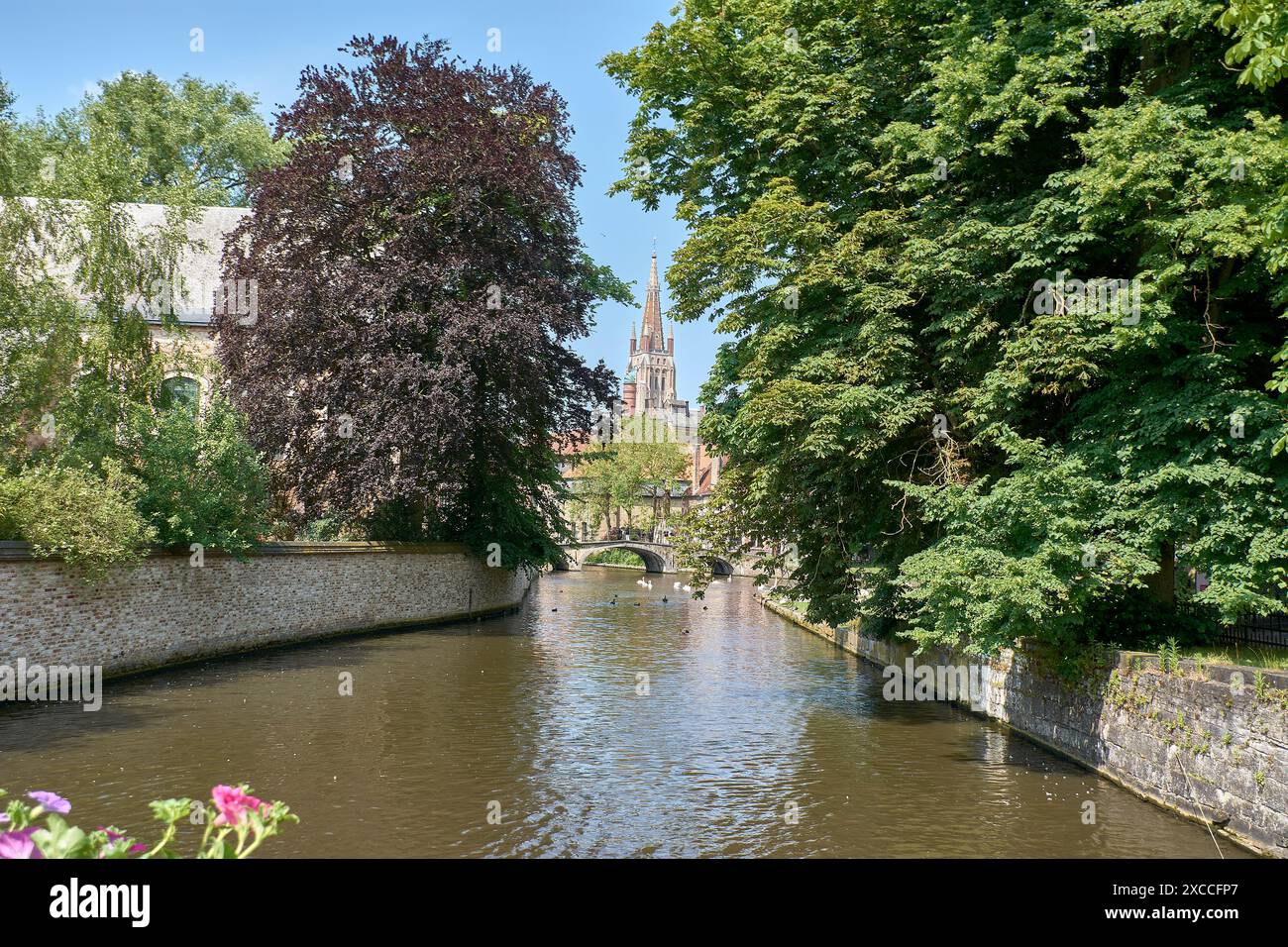 Bruges, Belgium; June,06,2024; The tower of the Gothic style Church of ...