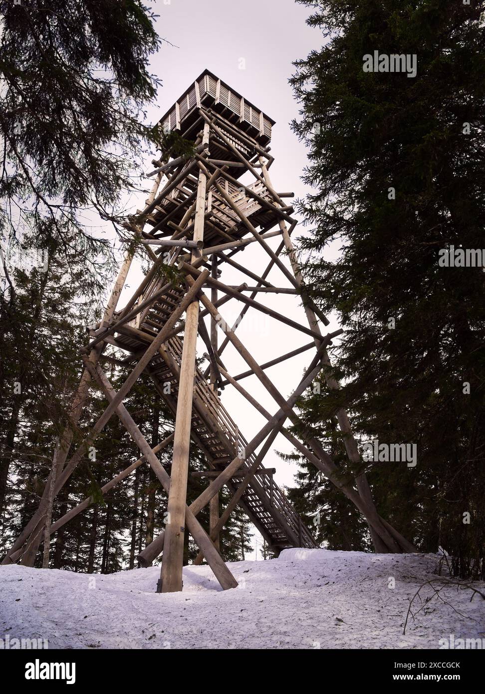 Wooden wildlife observation tower built hi-res stock photography and ...