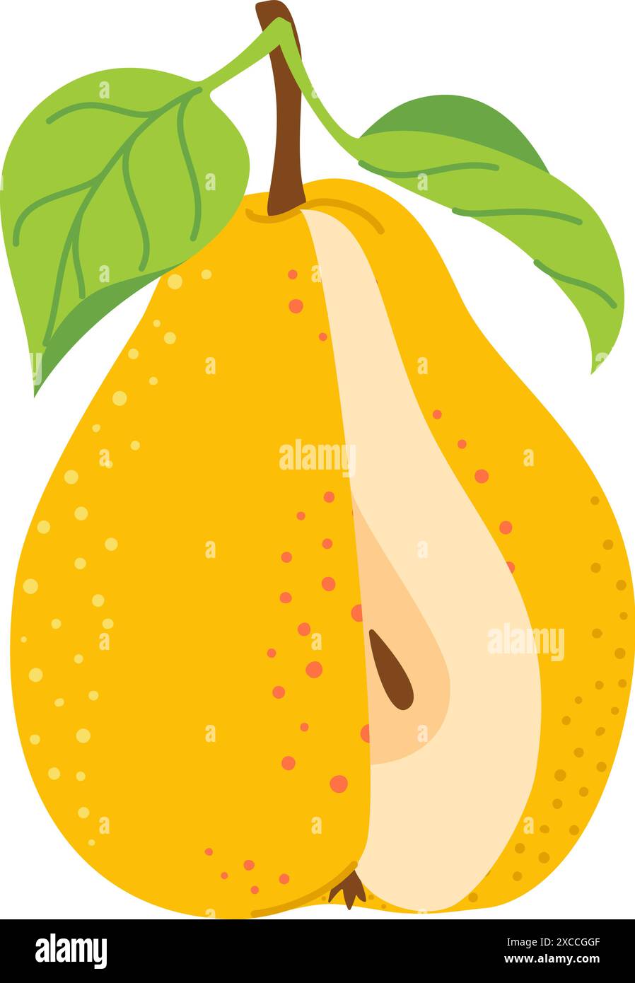 Cut yellow pear cartoon icon. Cross section of cut fresh, juicy yellow ...