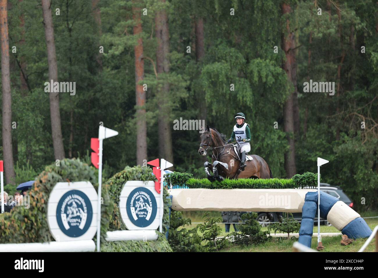 Horse cross country design hi-res stock photography and images - Alamy