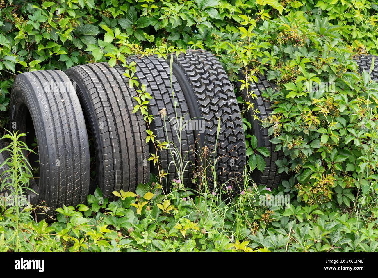 Some abandoned tires in the nature Stock Photo - Alamy