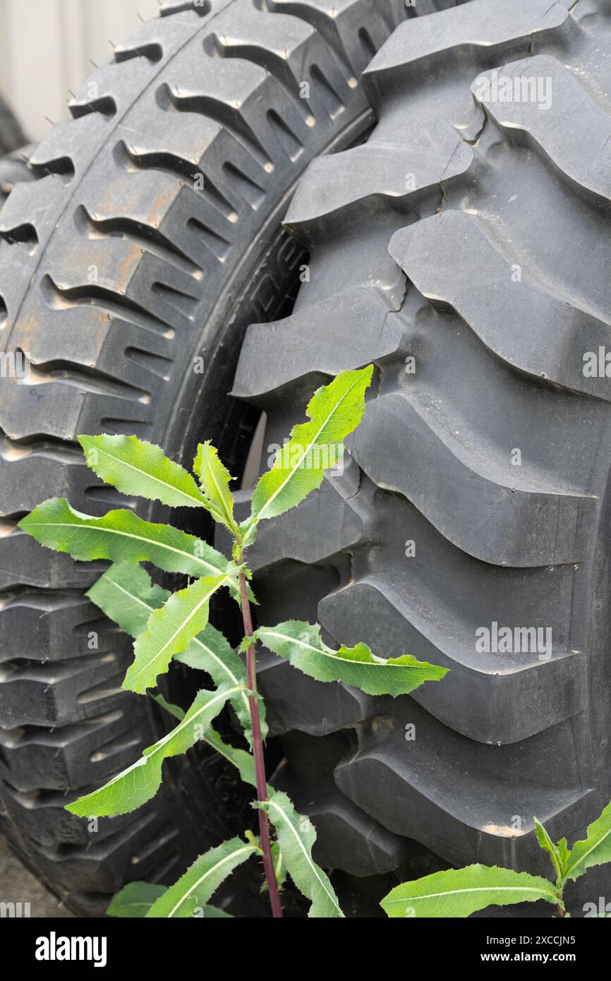 Black rubber vehicle tires hi-res stock photography and images - Alamy