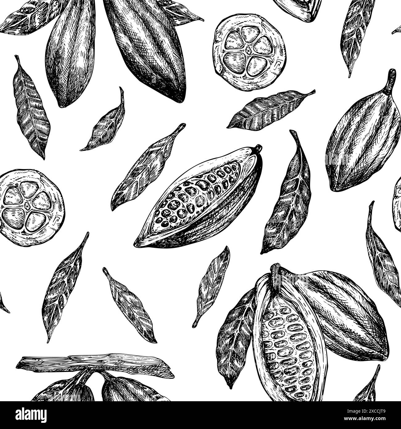 Seamless pattern with cocoa fruit graphic illustration, hand drawn ...